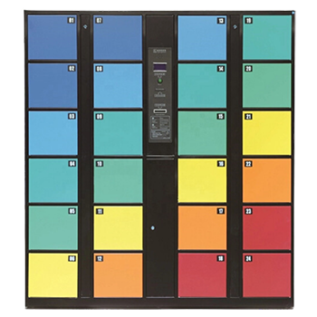 Advanced Smart Storage Locker Services & Solutions